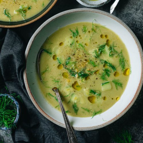 Chilled Fennel Soup - Gastroplant