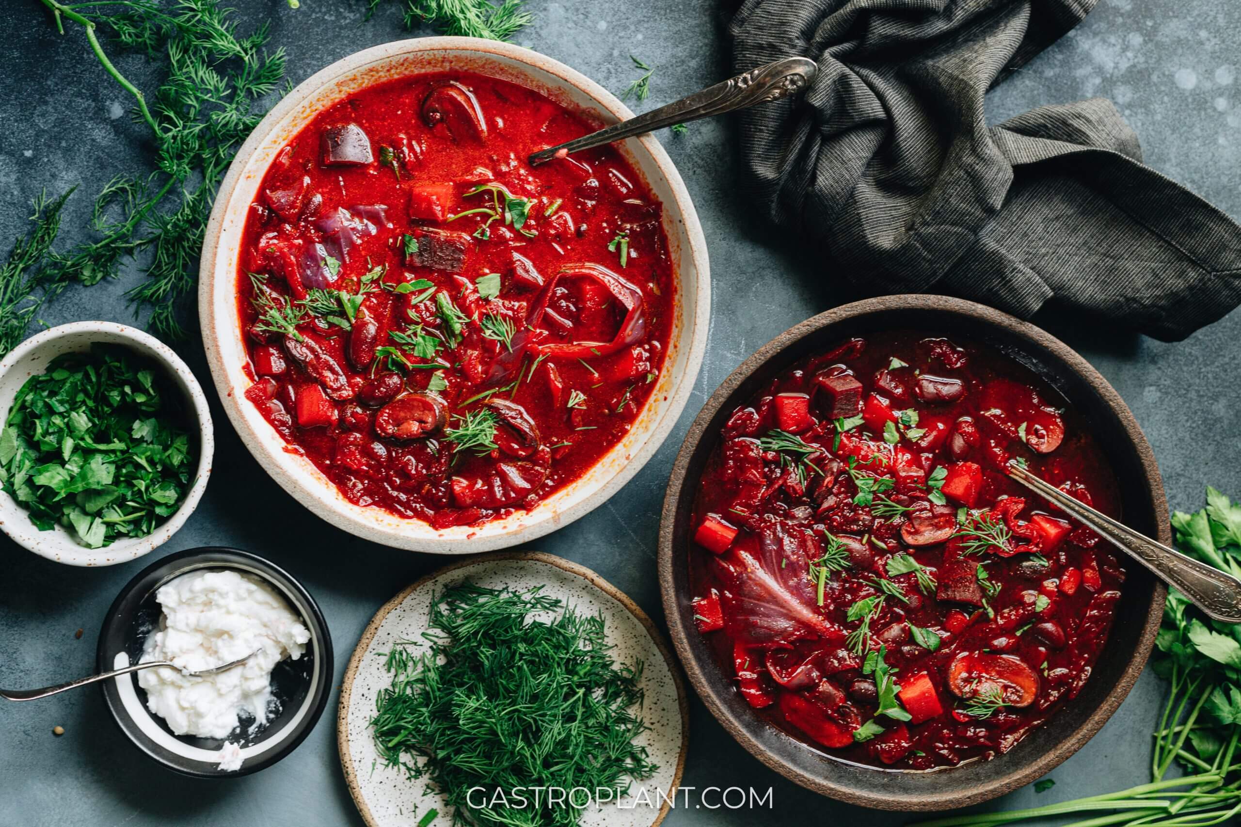 Bold Vegan Borscht - Gastroplant