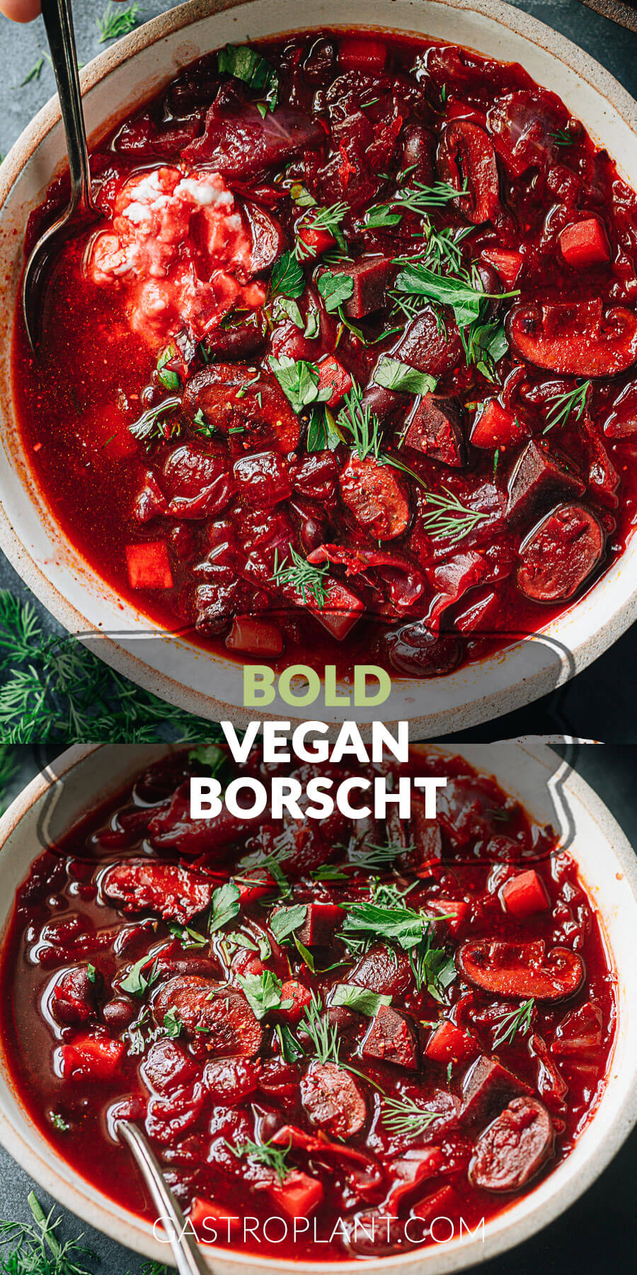 Bold Vegan Borscht - Gastroplant